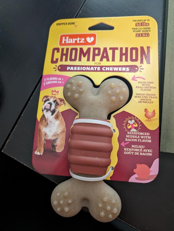 HARTZ Chompathon Gripper Bone Tough Dog Chew Toy, Brown, Medium - Chewy.com