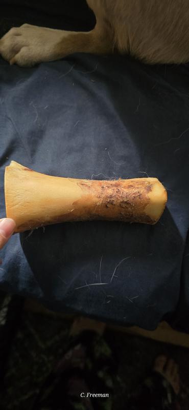 BONES & CHEWS Made in USA Roasted Marrow Bone 6" Dog Treat, 1 count ...