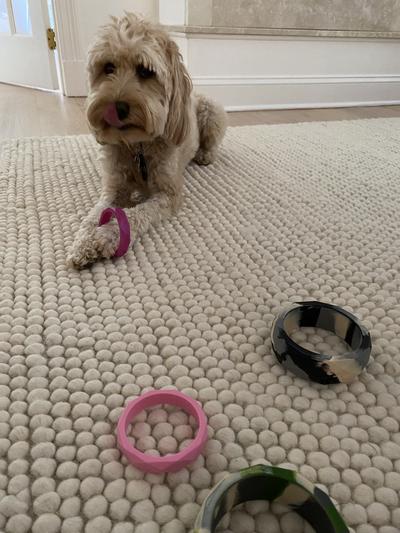 SWEET PAWS Wearable Puppy Teether Stack Party of 4, Put it in Neutral ...