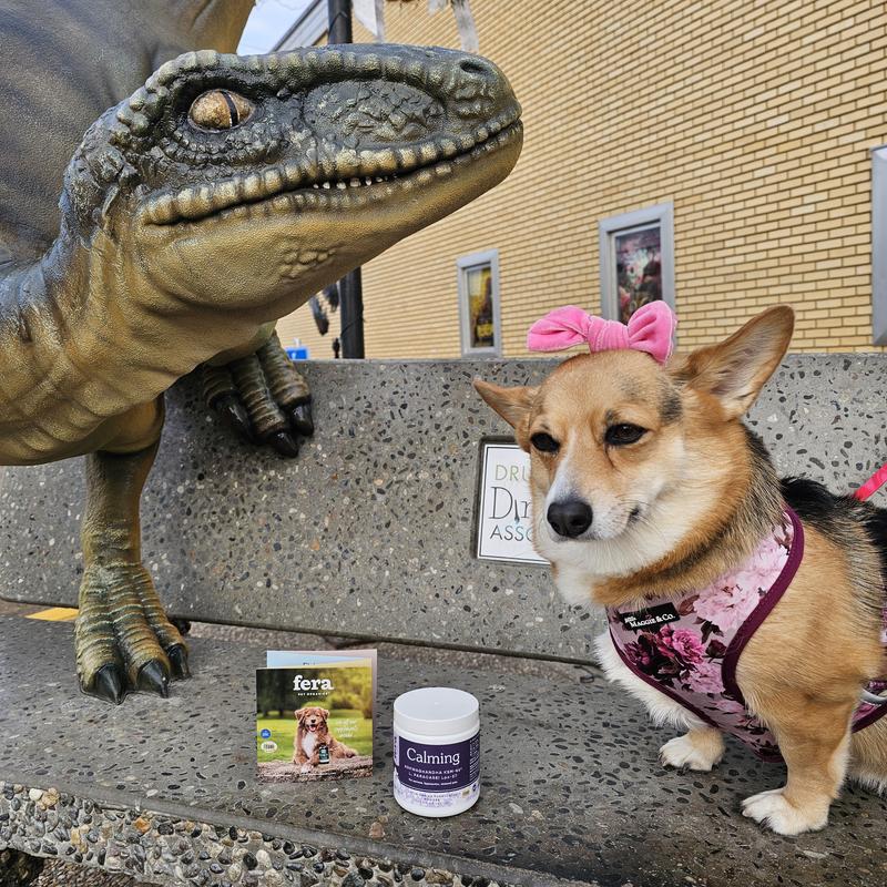 FERA PET ORGANICS Calming Support for Dogs & Cats, 60 servings - Chewy.com