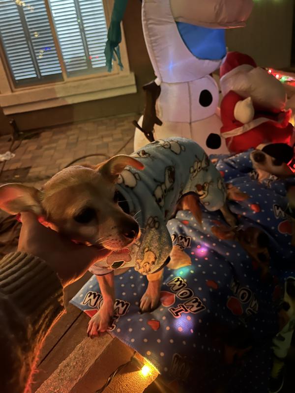 DISNEY Frozen's Olaf Dog & Cat Plush Fleece PJ, X-Large - Chewy.com