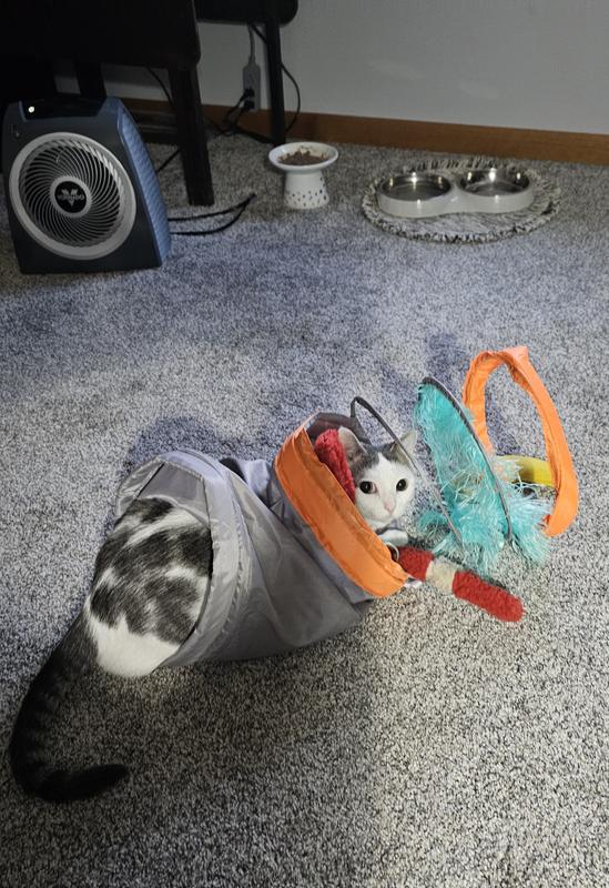 SMARTYKAT Fringe Frenzy Cat Activity Tunnel - Chewy.com