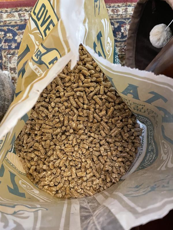 CATALYST PET Pine Pellet Unscented Non-Clumping Wood Cat Litter, 20-lb ...