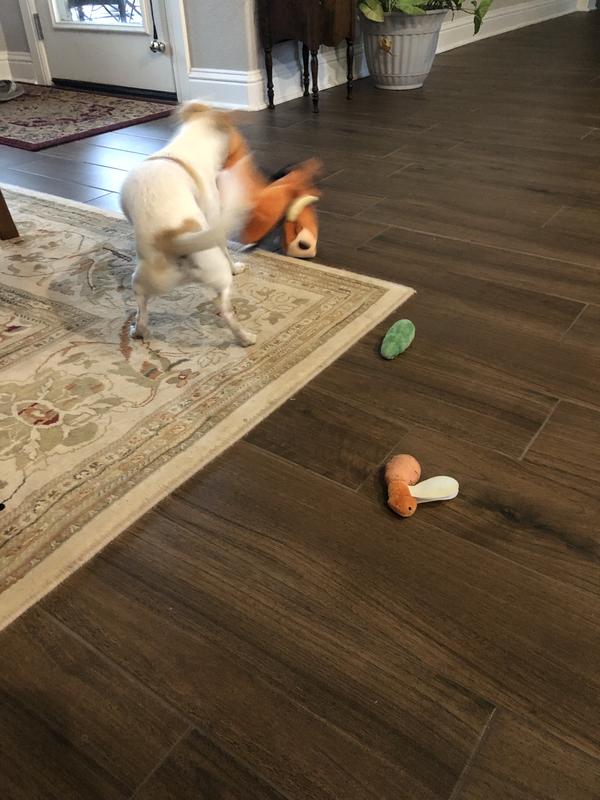 DISNEY Pumbaa Hide & Seek Puzzle Plush Squeaky Dog Toy - Chewy.com