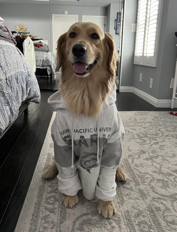 BARK&SPARK Omega 3 Skin & Coat Dog Supplement, 180 count - Chewy.com