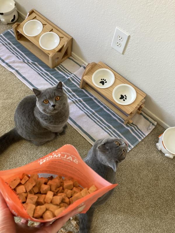 CAT-MAN-DOO Life Essentials Wild Alaskan Salmon Freeze-Dried Cat & Dog ...