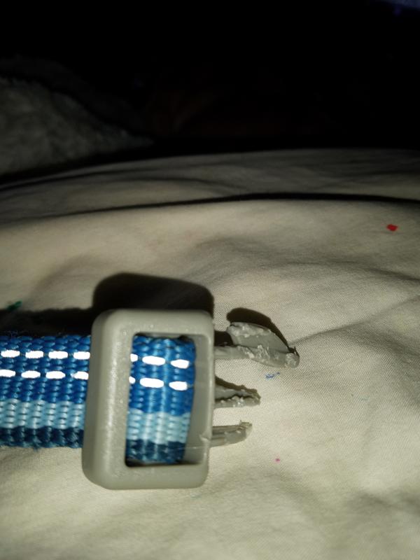 FRISCO Hands-Free Running Dog Collar - Chewy.com