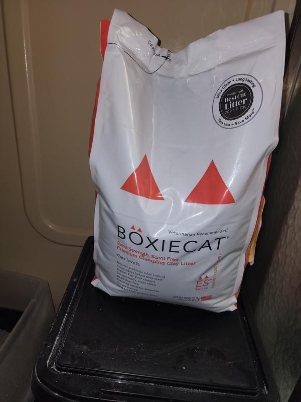 BOXIECAT Extra Strength Odor Control Clumping Clay Cat & Kitty Litter ...
