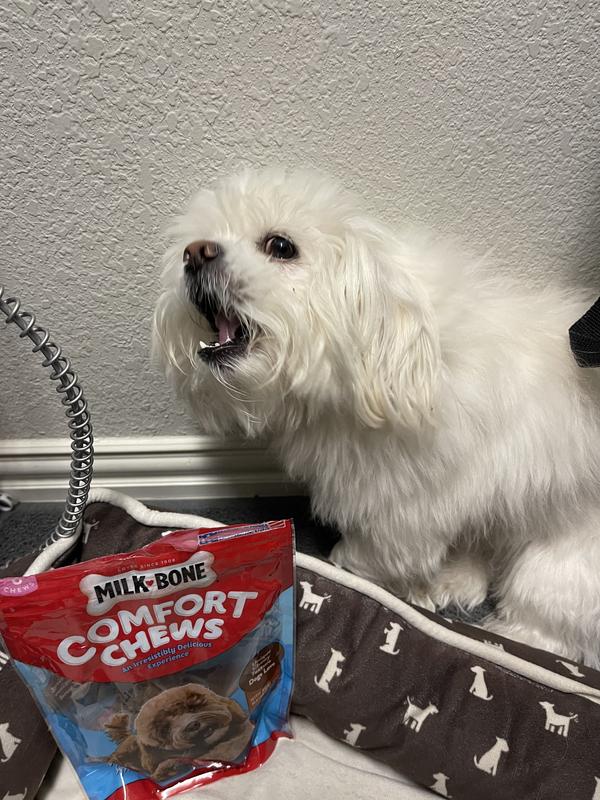 MILK-BONE Mini Comfort Chews Real Beef Dog Treats, 18 count - Chewy.com