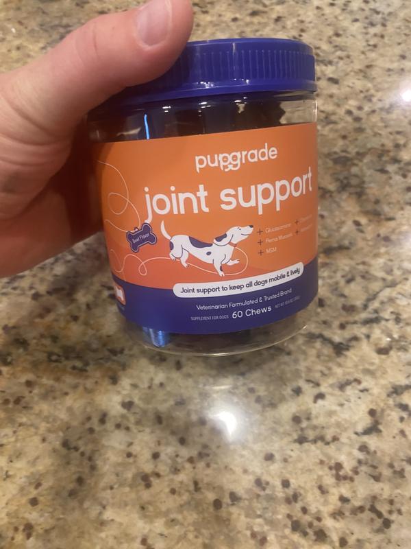 PUPGRADE Joint Support Supplement for Dogs, 60 count - Chewy.com