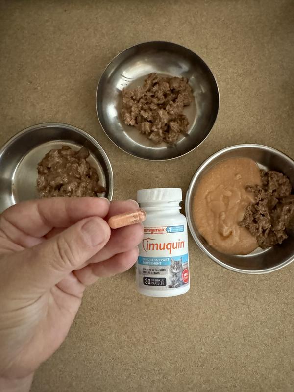 NUTRAMAX Imuquin with Beta Glucans, Marine Lipids, Vitamins & Minerals ...