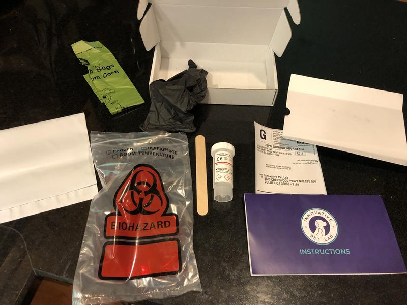INNOVATIVE PET LAB Comprehensive Review Dog Gut Check Kit - Chewy.com