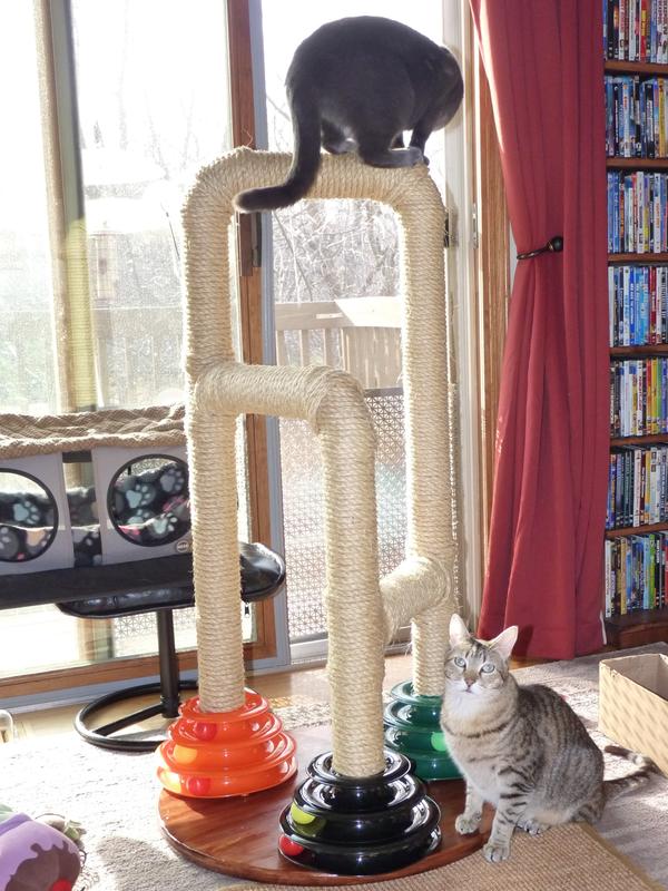 FRISCO Bee & Leaf Cat Tracks Cat Toy with Catnip - Chewy.com