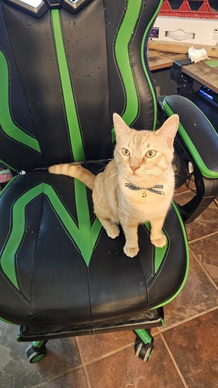 NECOICHI Zen Gold Fish Charm Cotton Breakaway Cat Collar with Bell, Red ...