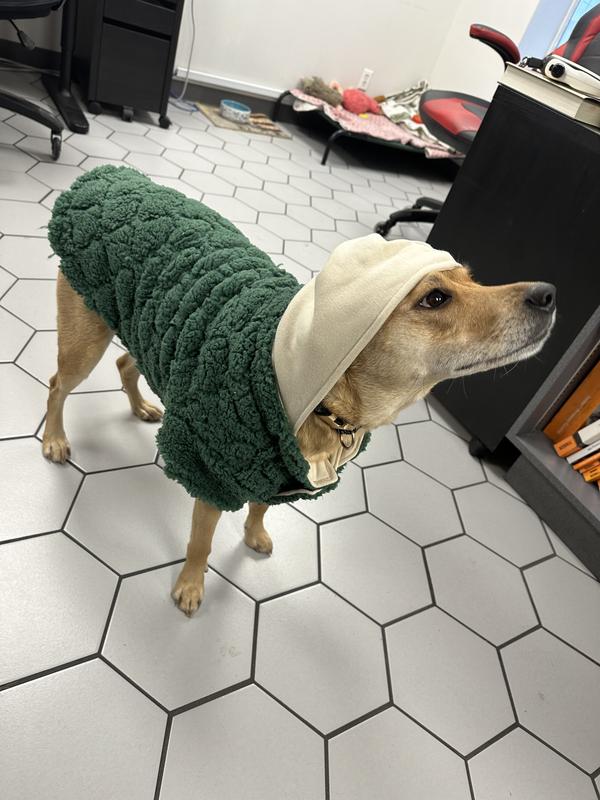 FRISCO Medium Weight Onion Quilted Sherpa Dog & Cat Jacket with ...