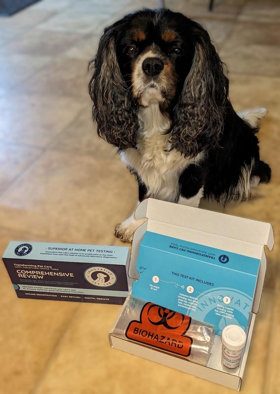 INNOVATIVE PET LAB Comprehensive Review Dog Gut Check Kit - Chewy.com