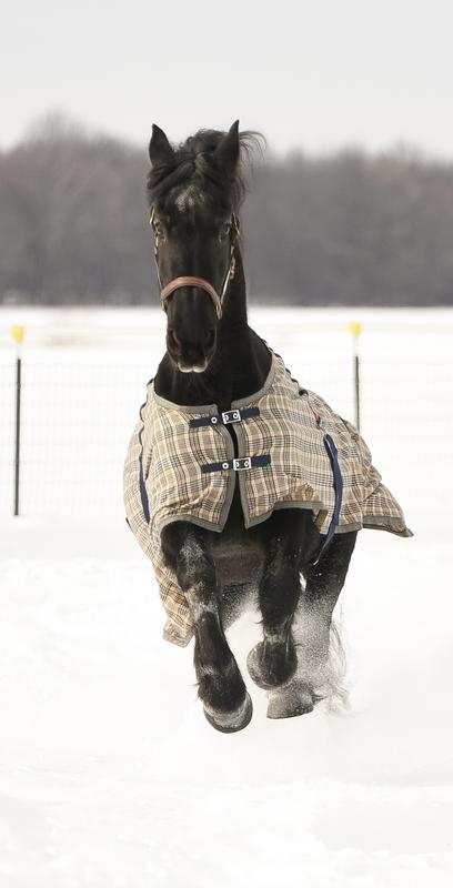 CAVALOR Fiberforce Horse Feed, 33-lb bag - Chewy.com