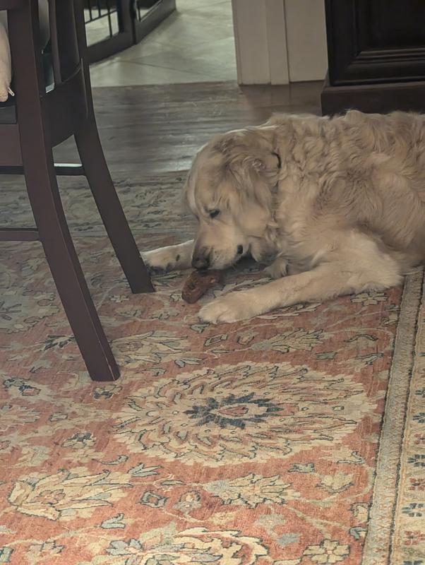 BRUTUS & BARNABY Sweet Potato Slices Dehydrated Dog Chews, 28-oz bag ...