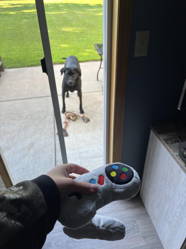 BARK Ate Bit Controllers Squeaky Plush Dog Rope Toy - Chewy.com