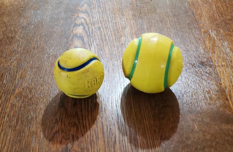 Discontinued - KONG Squeezz Tennis Double Assorted Dog Toy, Color ...