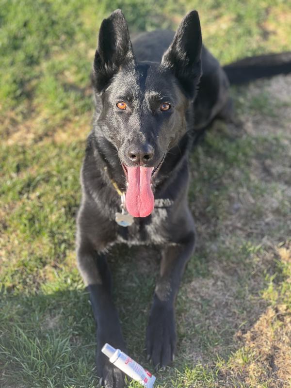 VETERINARY FORMULA CLINICAL CARE Super Clot Fast Acting Gel for Dogs ...