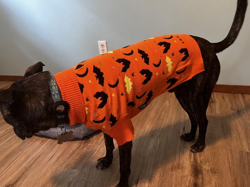 FRISCO Funky Bat Knit Dog & Cat Sweater, X-Large - Chewy.com