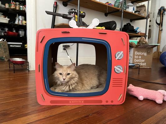 FRISCO TV Set Cardboard Cat House - Chewy.com