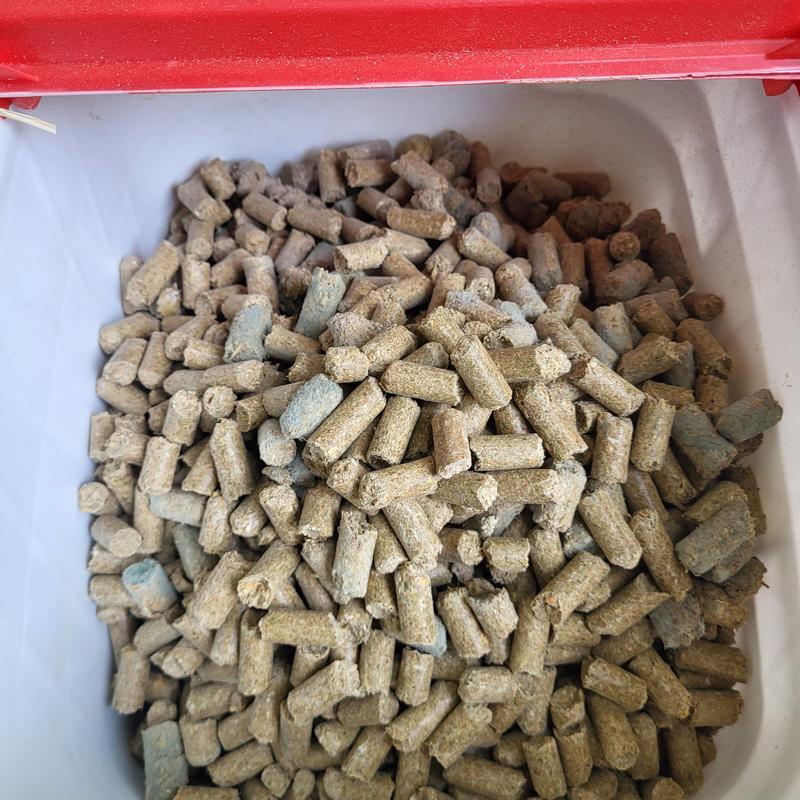 KENT / BLUE SEAL Inspire Hay Stretcher Large Pellet Horse Feed, 50-lb ...