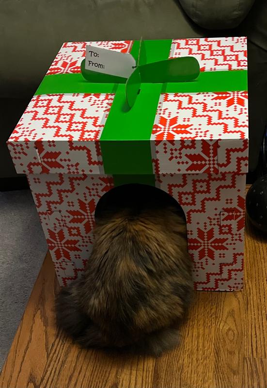 Out of Stock - FRISCO Holiday Gift Box Cardboard Cat House - Chewy.com
