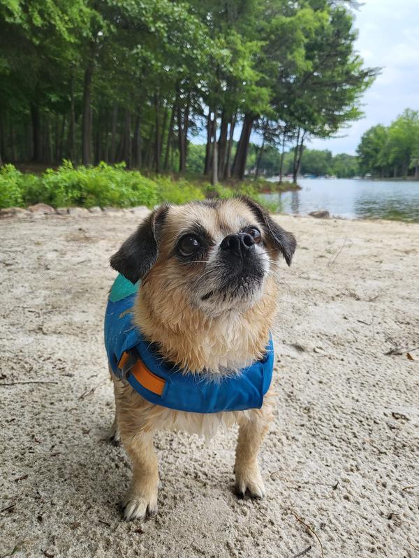 RUFFWEAR Float Coat Dog Life Jacket, Deep Blue, Small - Chewy.com