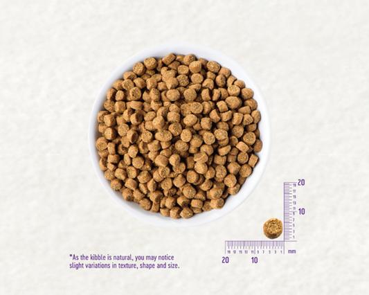 WELLNESS Complete Health Grain-Free Indoor Healthy Weight Chicken ...