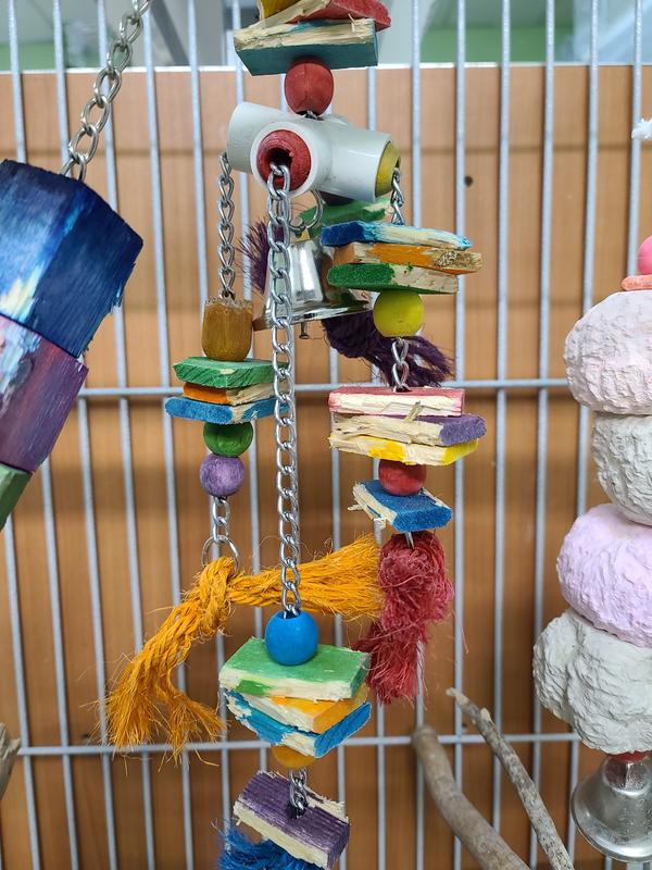 SUPER BIRD CREATIONS 4 Way Play Bird Toy, Large - Chewy.com