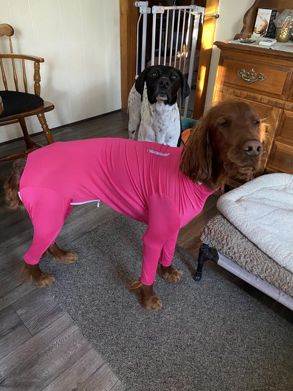 SHED DEFENDER Original Dog Onesie, Black, Mini - Chewy.com
