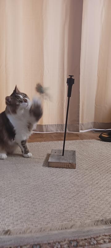 PLAYOLOGY Motorized Hummingbird/Butterfly Teaser-Wands Cat Toy ...