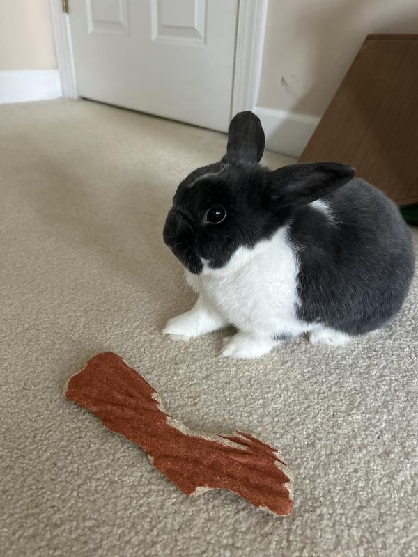 WILD HARVEST Edible Logz Natural Small Pet Hideaway - Chewy.com