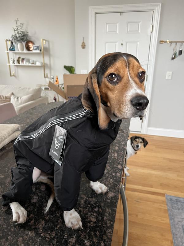 CANADA POOCH Dog Snowsuit, Black, 16 - Chewy.com