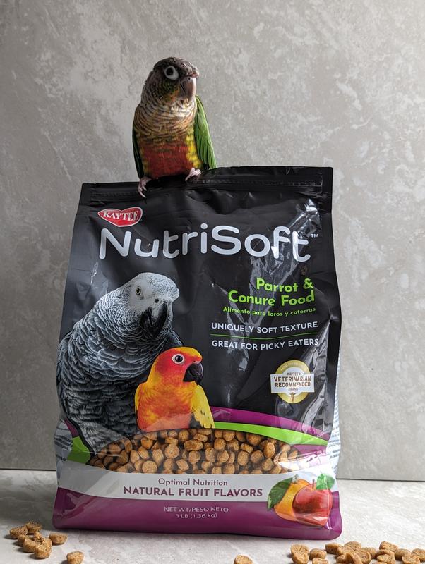 KAYTEE NutriSoft Parrot & Conure Bird Food, 3-lbs - Chewy.com