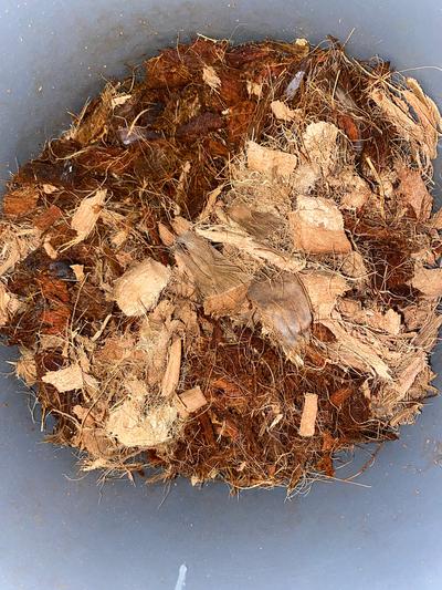 EXO TERRA Coco Husk Brick Tropical Terrarium Reptile Substrate, 8-qt ...