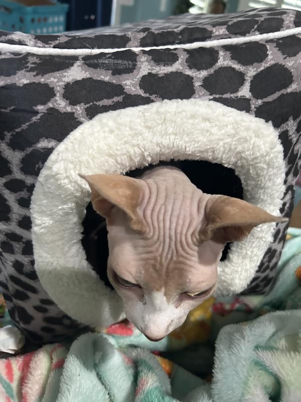 PET ADOBE Cat House - Chewy.com