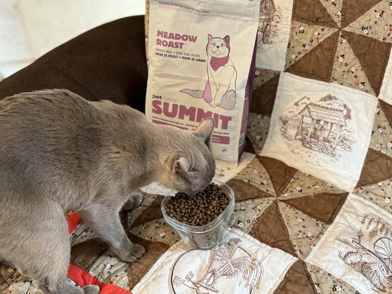 PETCUREAN SUMMIT Meadow Roast Recipe Dry Cat Food, 3-lb bag - Chewy.com