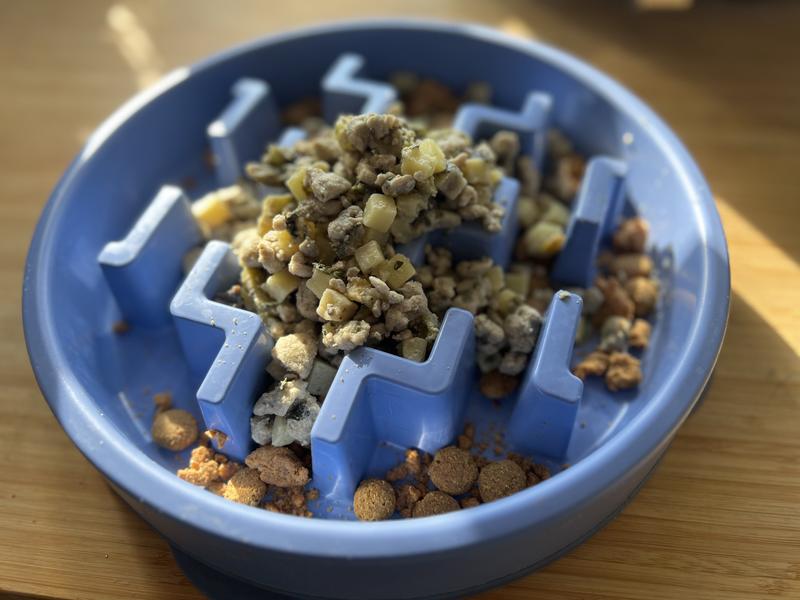 NOM NOM Freshly-Made Frozen Grain-Free Pork Potluck Dog Food, 14-oz ...