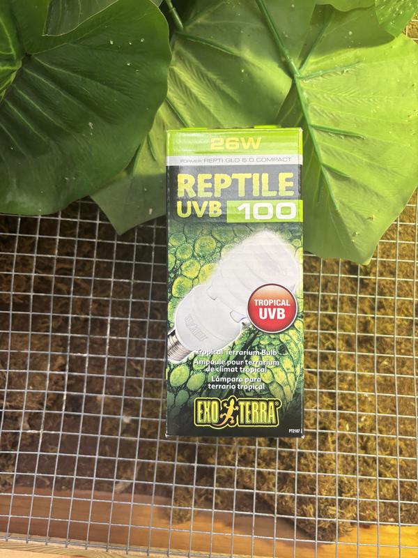 EXO TERRA Tropical UVB 100 Reptile Bulb, 26-w - Chewy.com