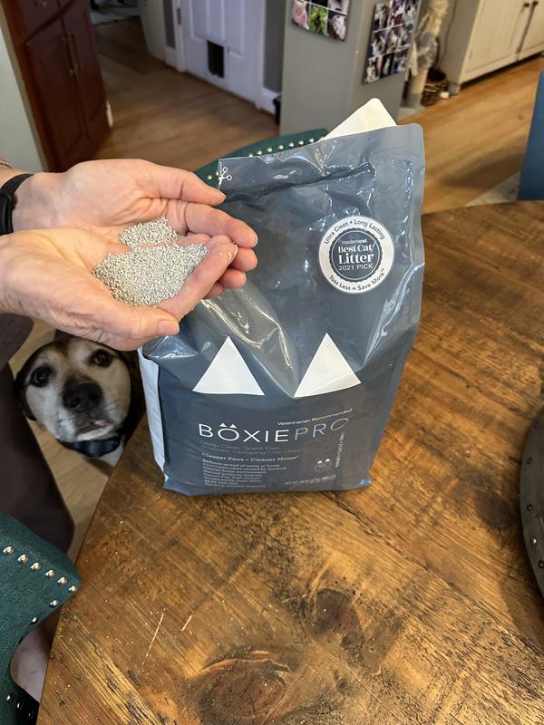 BOXIECAT Self-Cleaning Probiotic Clumping Clay Cat & Kitty Litter, 40 ...