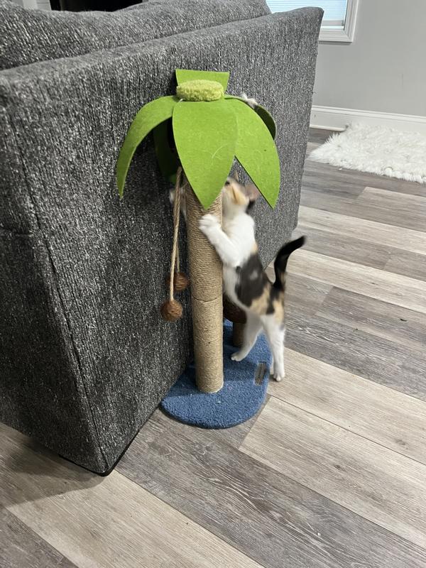 Discontinued - LOVELY CAVES Coconut Palm Tree Cat Scratching Post ...