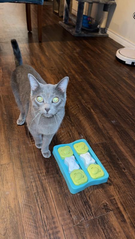 CATSTAGES Kitty Cube Cat Treat Puzzle Toy, Blue - Chewy.com