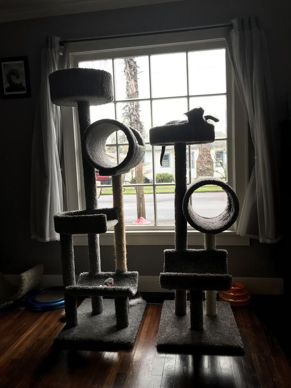 FRISCO 53-in Real Carpet Cat Tree with Tunnel, Gray - Chewy.com
