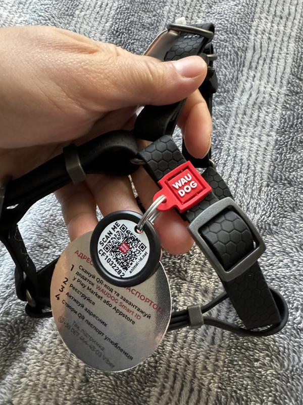 WAUDOG Waterproof Dog Harness with QR Tag, Blue, Large - Chewy.com