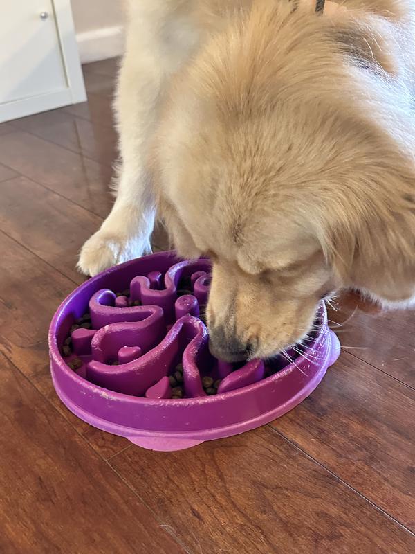 NEXT LEVEL SUPER PREMIUM PET FOOD Normally Active Adult Gluten-Free ...