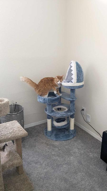 YAHEETECH Ocean-Themed Multi-Level Cat Tree, 45.5-in - Chewy.com