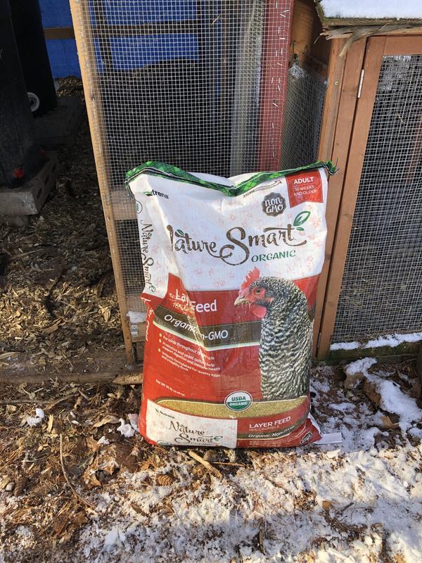 NUTRENA Nature Smart Organic Layer Feed 16% Protein Crumble Chicken ...